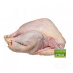 Online Butcher Cairns - Mighty Nice Meats